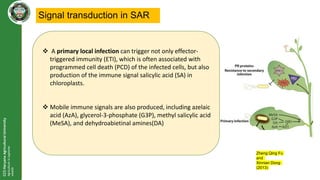 plant protection using isr and sar non credit seminar | PPTX