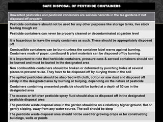 Plant protection Code in tea: A step towards safetyof Indian tea | PPTX