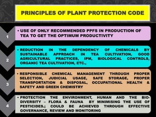 Plant protection Code in tea: A step towards safetyof Indian tea | PPTX
