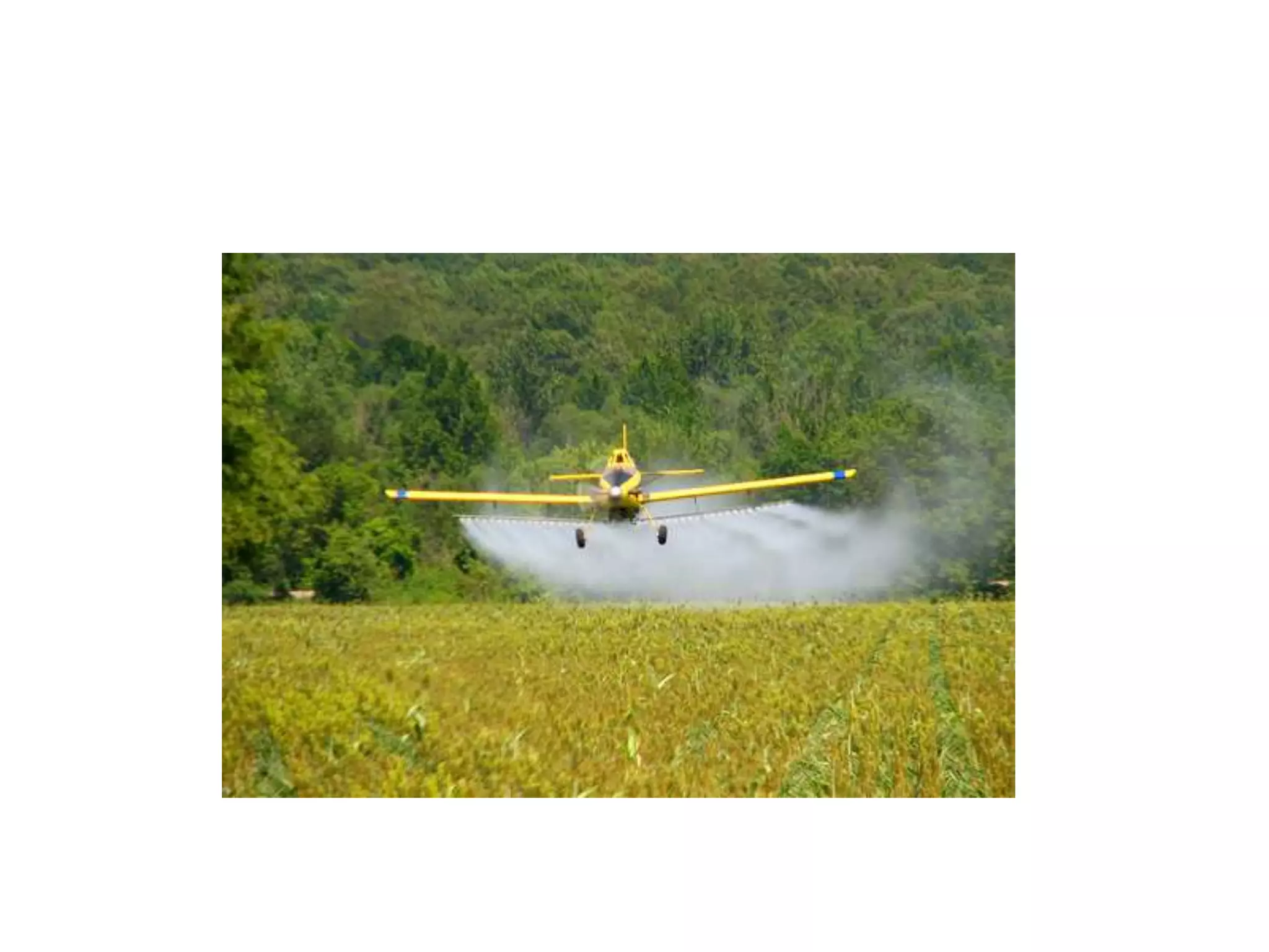 Plant protection equipment | PPTX