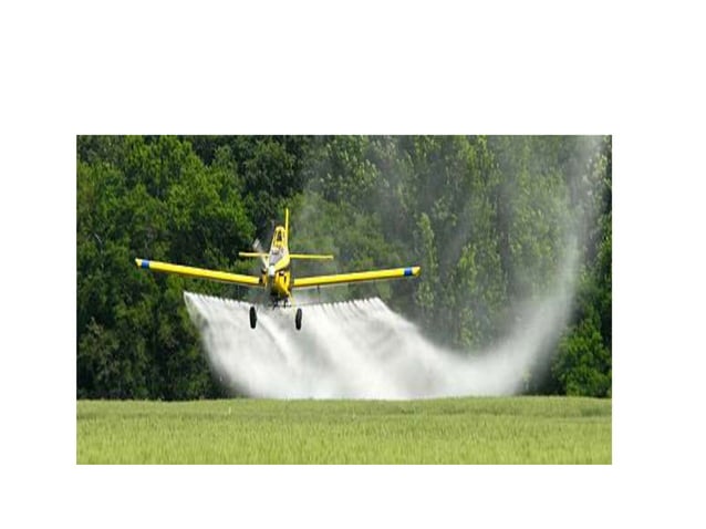 Plant protection equipment | PPTX | Home Appliances | Home & Garden