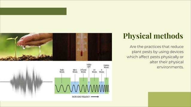 Plant Protection Measures against insect pest and diseases | PPTX