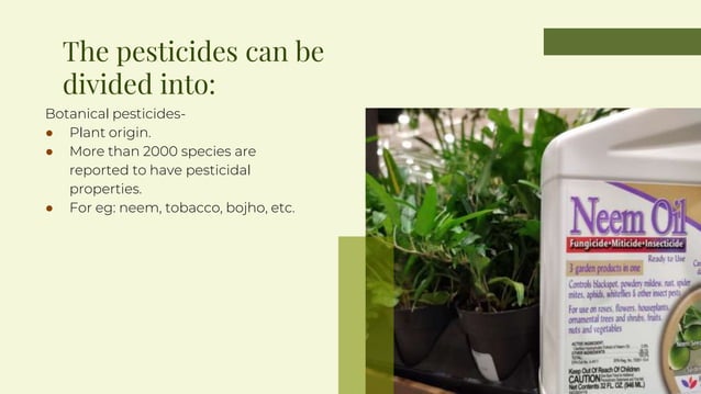 Plant Protection Measures against insect pest and diseases | PPTX