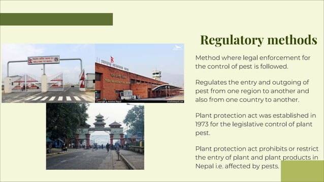 Plant Protection Measures against insect pest and diseases | PPTX