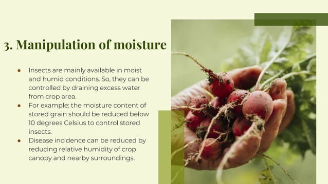 Plant Protection Measures against insect pest and diseases | PPTX