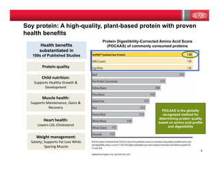 Plant protein – Market opportunities powered by innovation | PDF