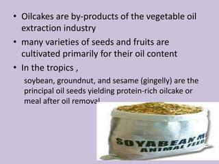 Plant proteins ppt | PPT