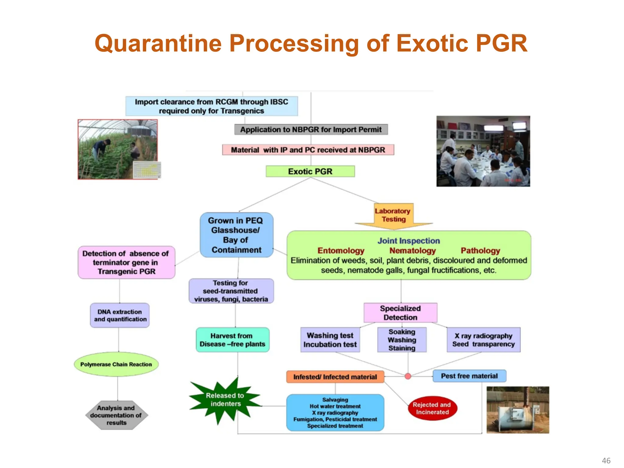 plant quarantine : there structure and function | PPSX