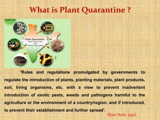 plant quarantine in plant health mngt.ppt
