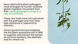 Plant Quarantine &Phytosanitary Measures.pptx