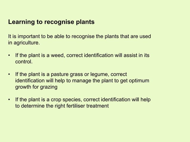 Plant recognition | PPTX