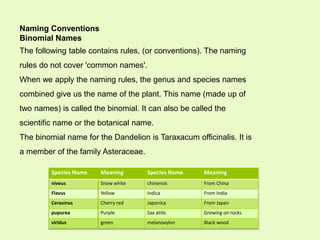 Plant recognition | PPTX