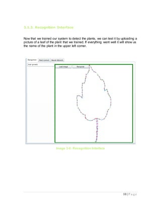 Plant recognition system | DOCX