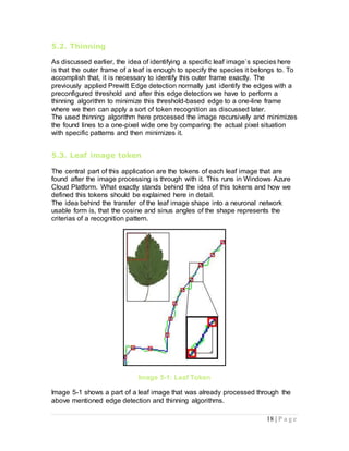 Plant recognition system | PDF