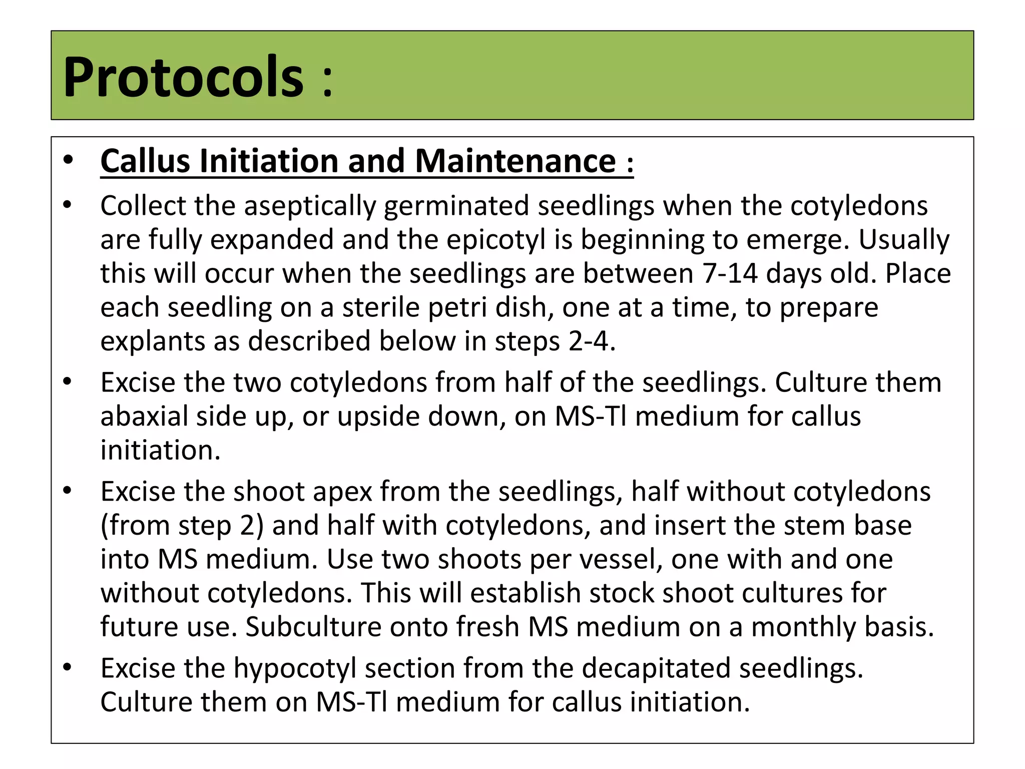 Plant Regeneration by Organogenesis from Callus Culture.pptx