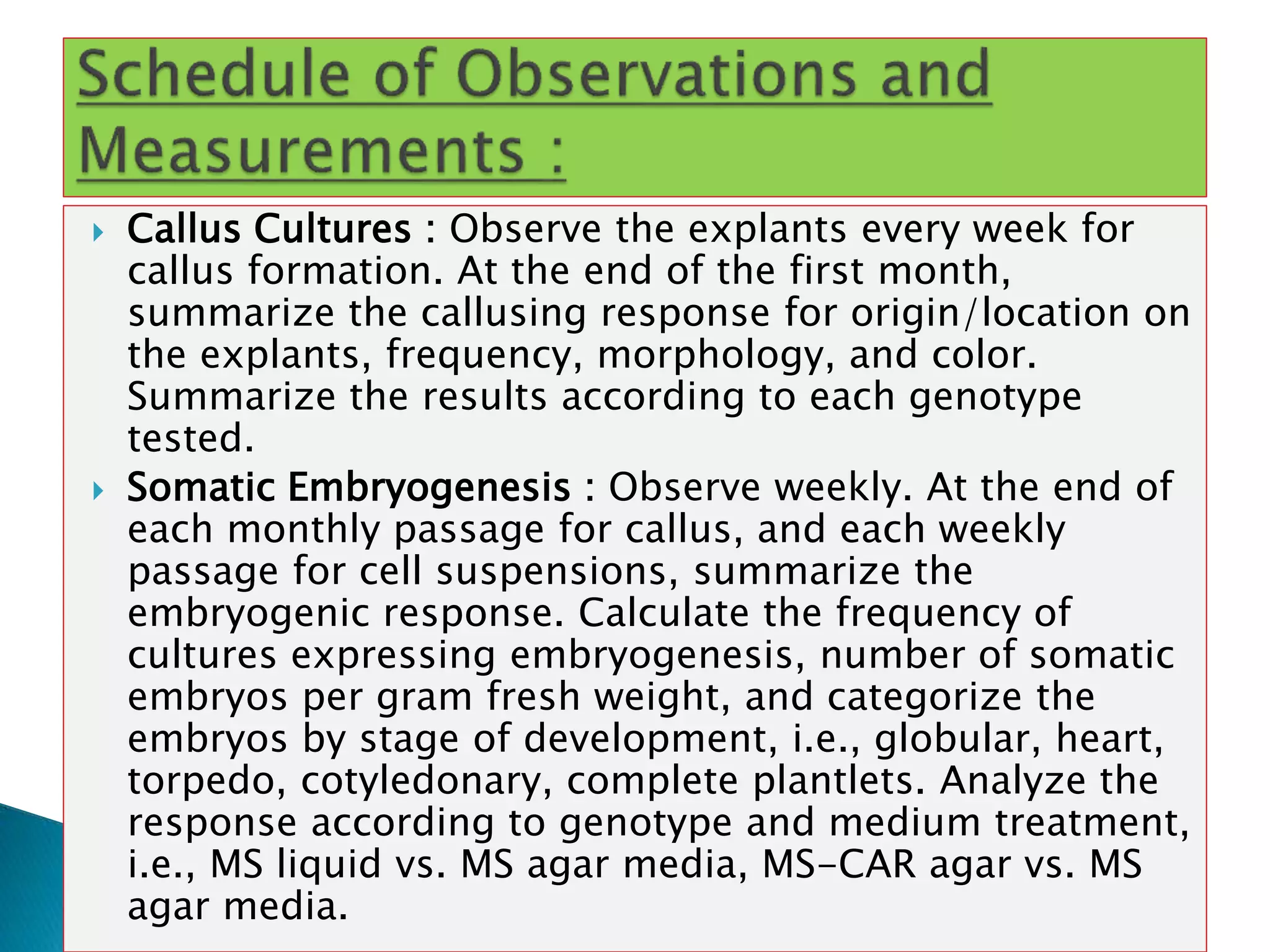 Plant Regeneration from Callus Culture by Somatic Embryogenesis.pptx