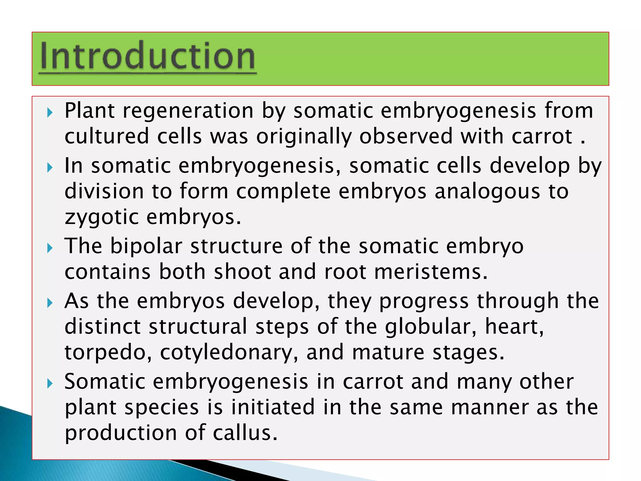 Plant Regeneration from Callus Culture by Somatic Embryogenesis.pptx