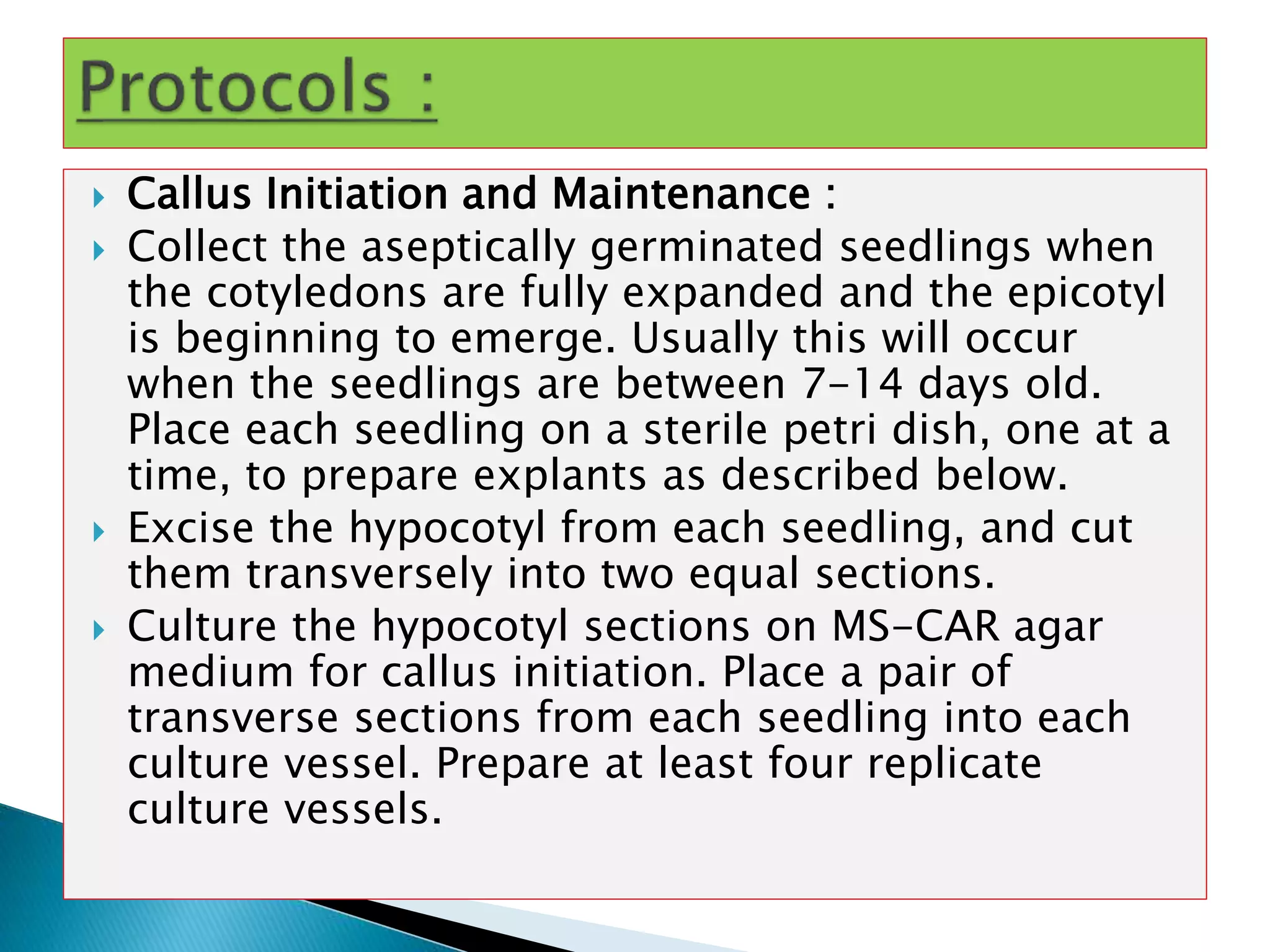 Plant Regeneration from Callus Culture by Somatic Embryogenesis.pptx