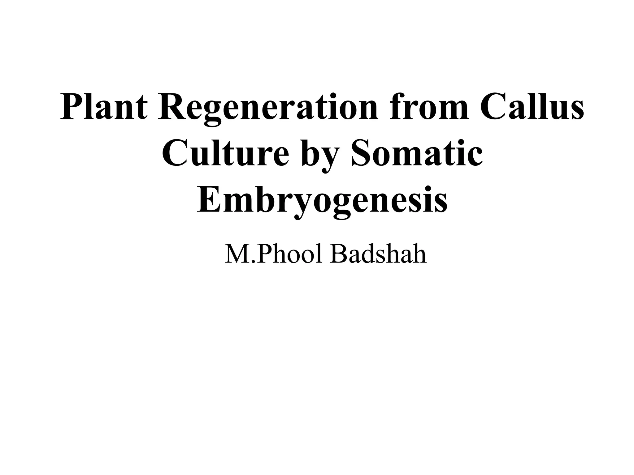 Plant Regeneration from Callus Culture by Somatic Embryogenesis.pptx