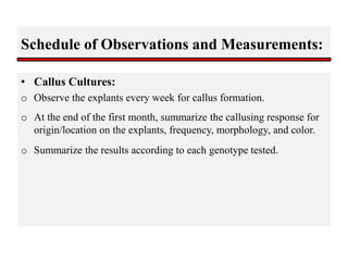 Plant Regeneration from Callus Culture by Somatic Embryogenesis.pptx