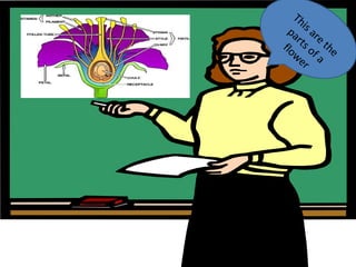 Plant reproduction | PPT