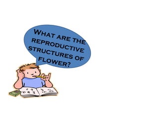 Plant reproduction | PPT