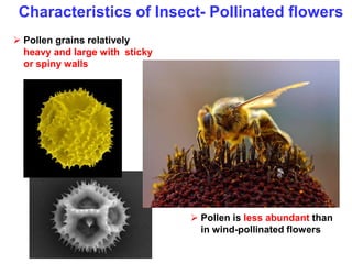 Plant reproduction | PPTX