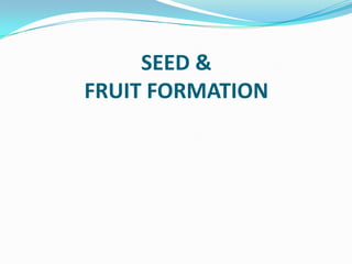 Plant reproduction | PPTX