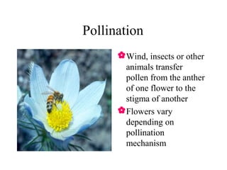 Plantreproduction | PPT