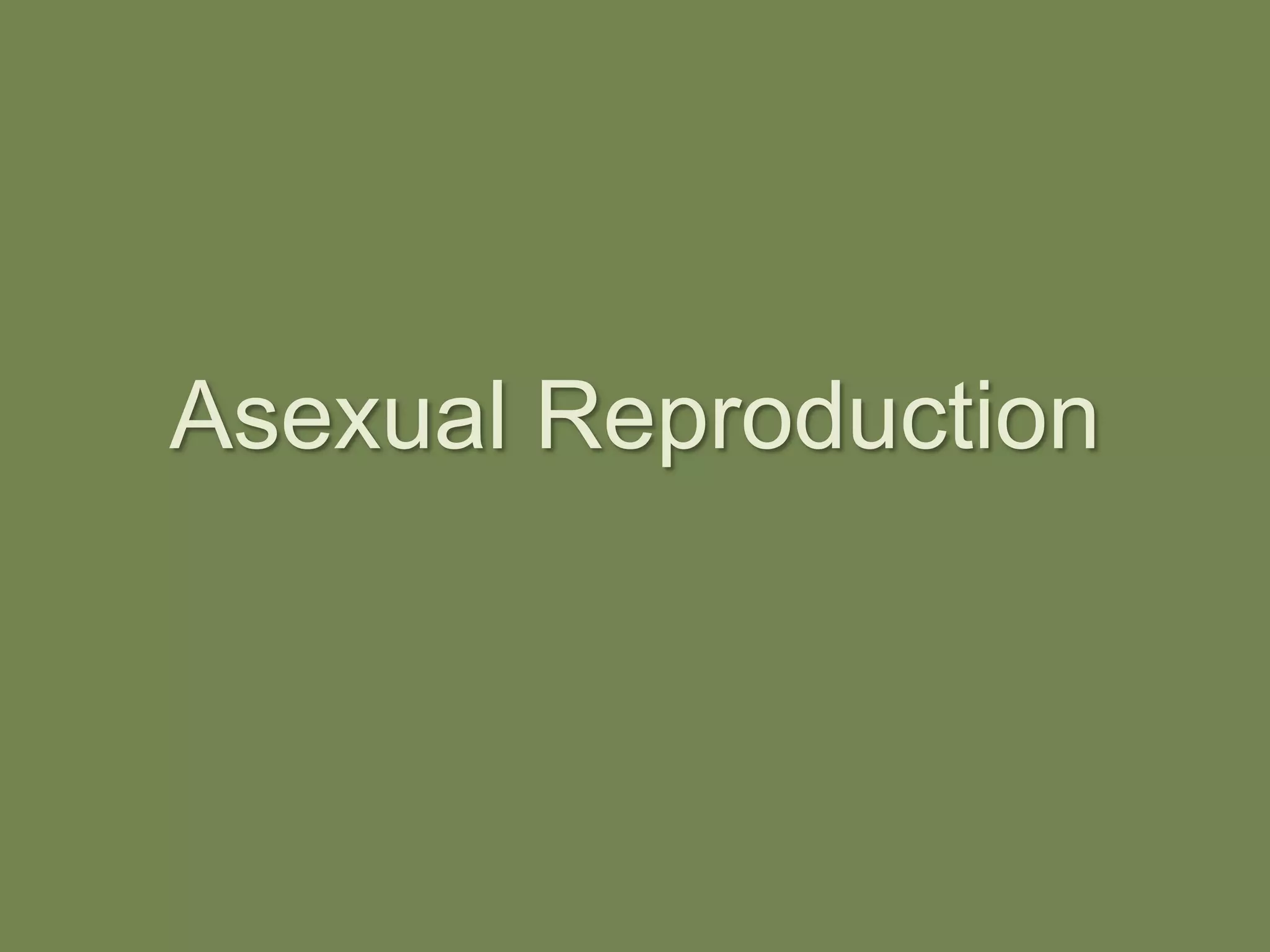 Plant Reproduction Pptx