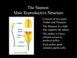 Plant Reproduction | PPT
