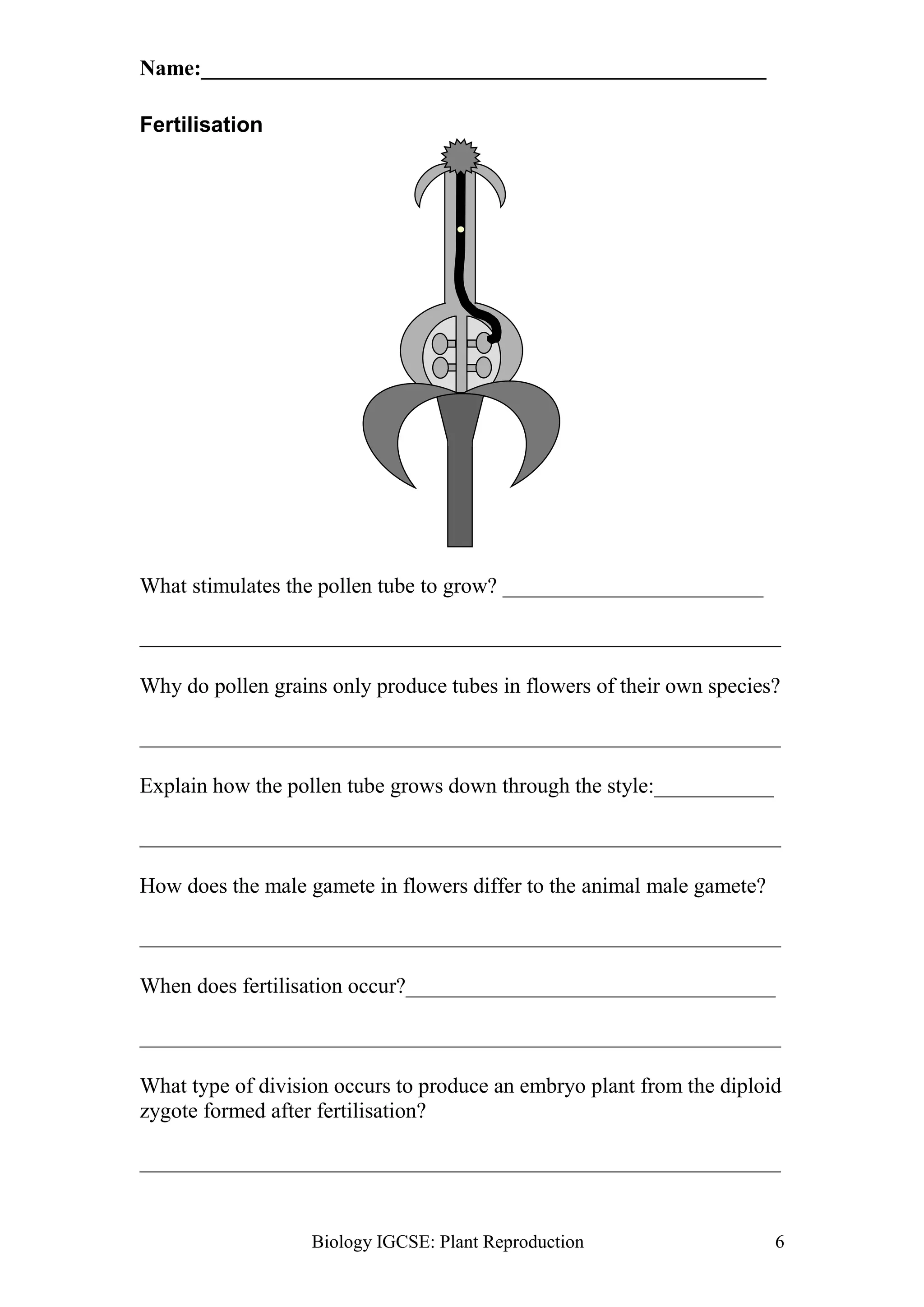 Plant reproduction worksheet | DOC