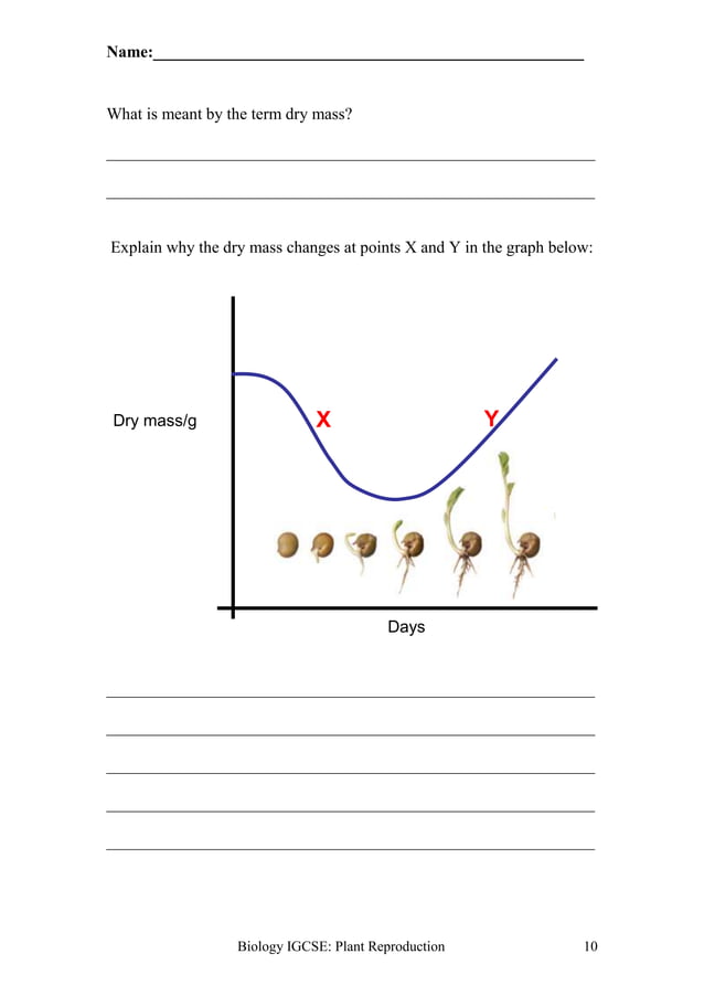 Plant reproduction worksheet | DOC