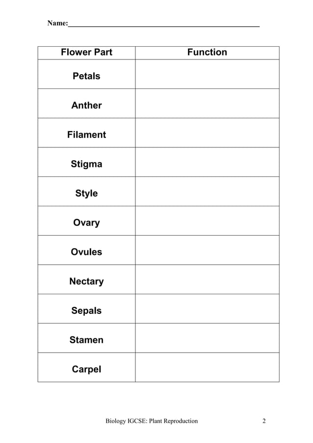 Plant reproduction worksheet | DOC