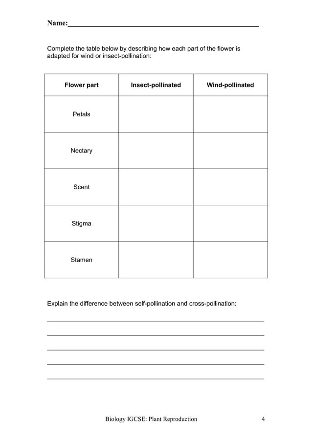 Plant reproduction worksheet | DOC