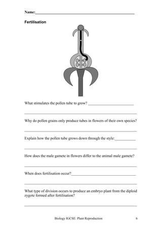 Plant reproduction worksheet | DOC
