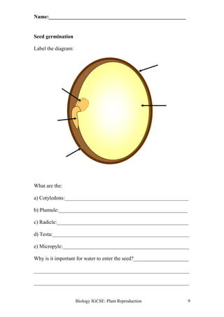 Plant reproduction worksheet | DOC