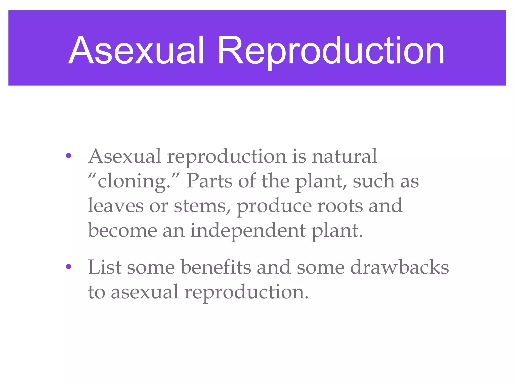 Plant reproduction | PPT
