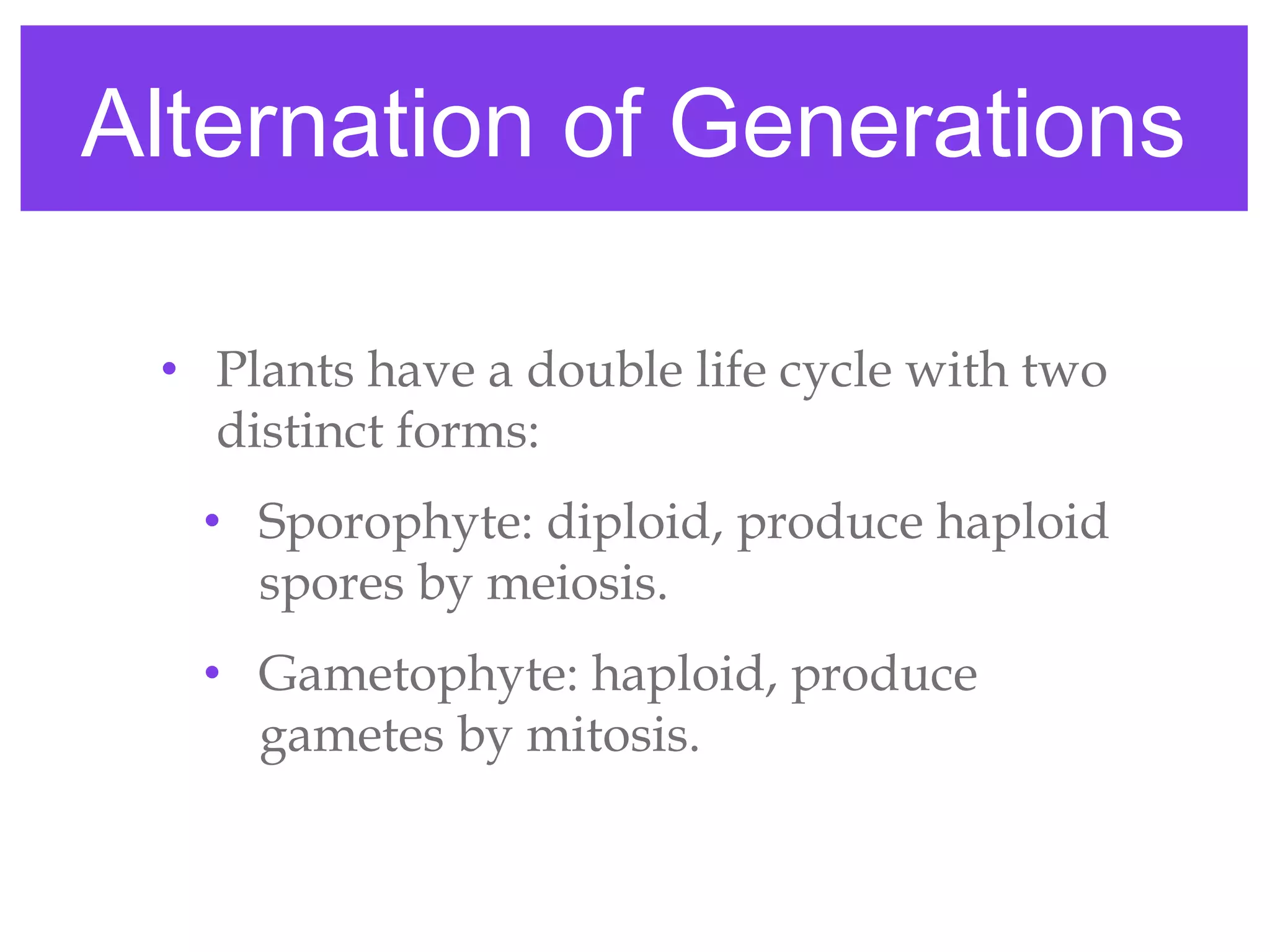 Plant reproduction | PPT