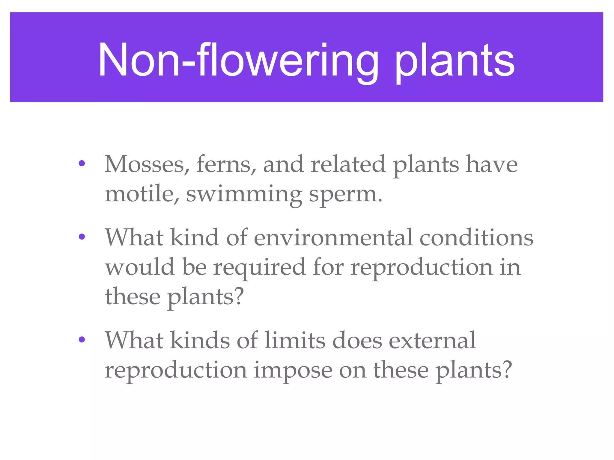Plant reproduction | PPT