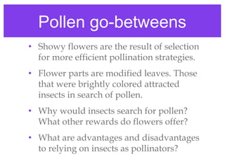 Plant reproduction | PPT