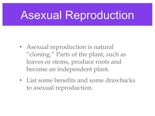 Plant reproduction | PPT