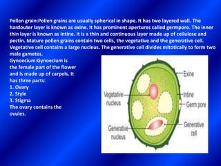 Reproduction in plants | PPTX | Infertility | Reproductive Health