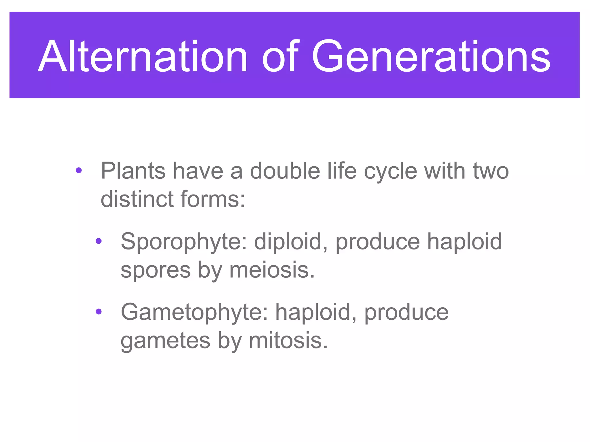 Plant reproduction | PPT