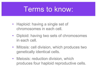 Plant reproduction | PPT