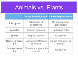 Plant reproduction | PPT