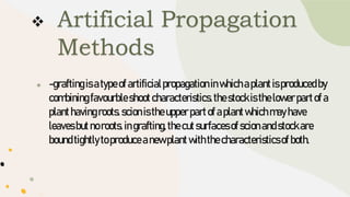 PLANT REPRODUCTION.pptx