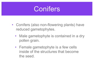 plant_reproduction.ppt grade 11 Stem strand | PPT