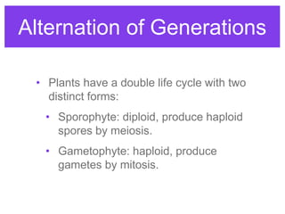 plant_reproduction.ppt grade 11 Stem strand | PPT