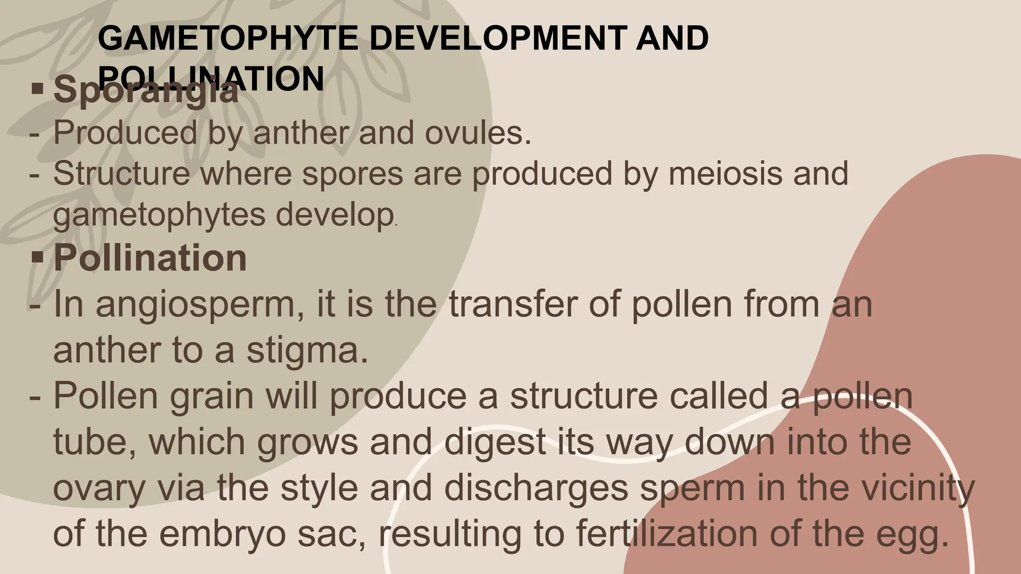 Plant reproduction- PowerPoint Presentation | PPTX